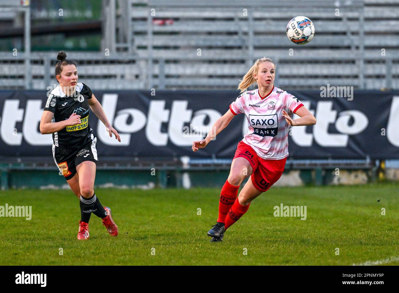 Ajuinen hi-res stock photography and images - Alamy