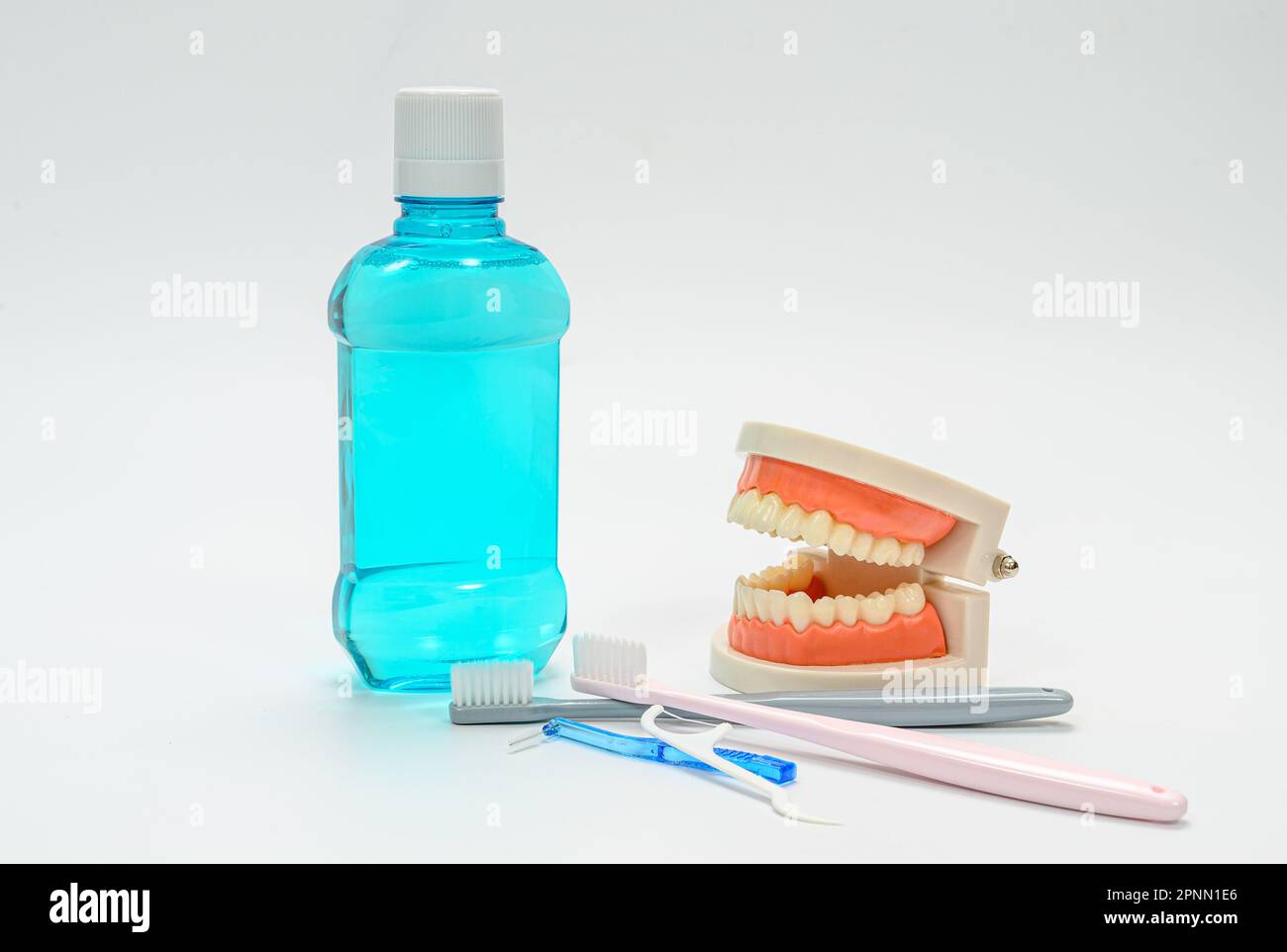 Tooth models, oral cleaners, and toothbrushes on a white background ...