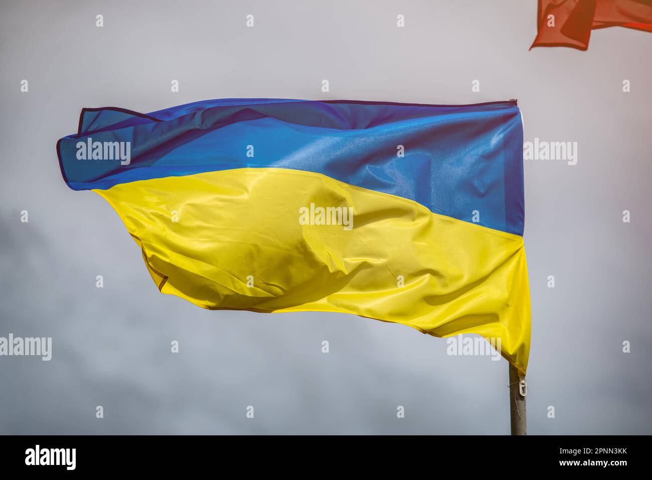 Flag of Ukraine. save ukraine Stock Photo - Alamy