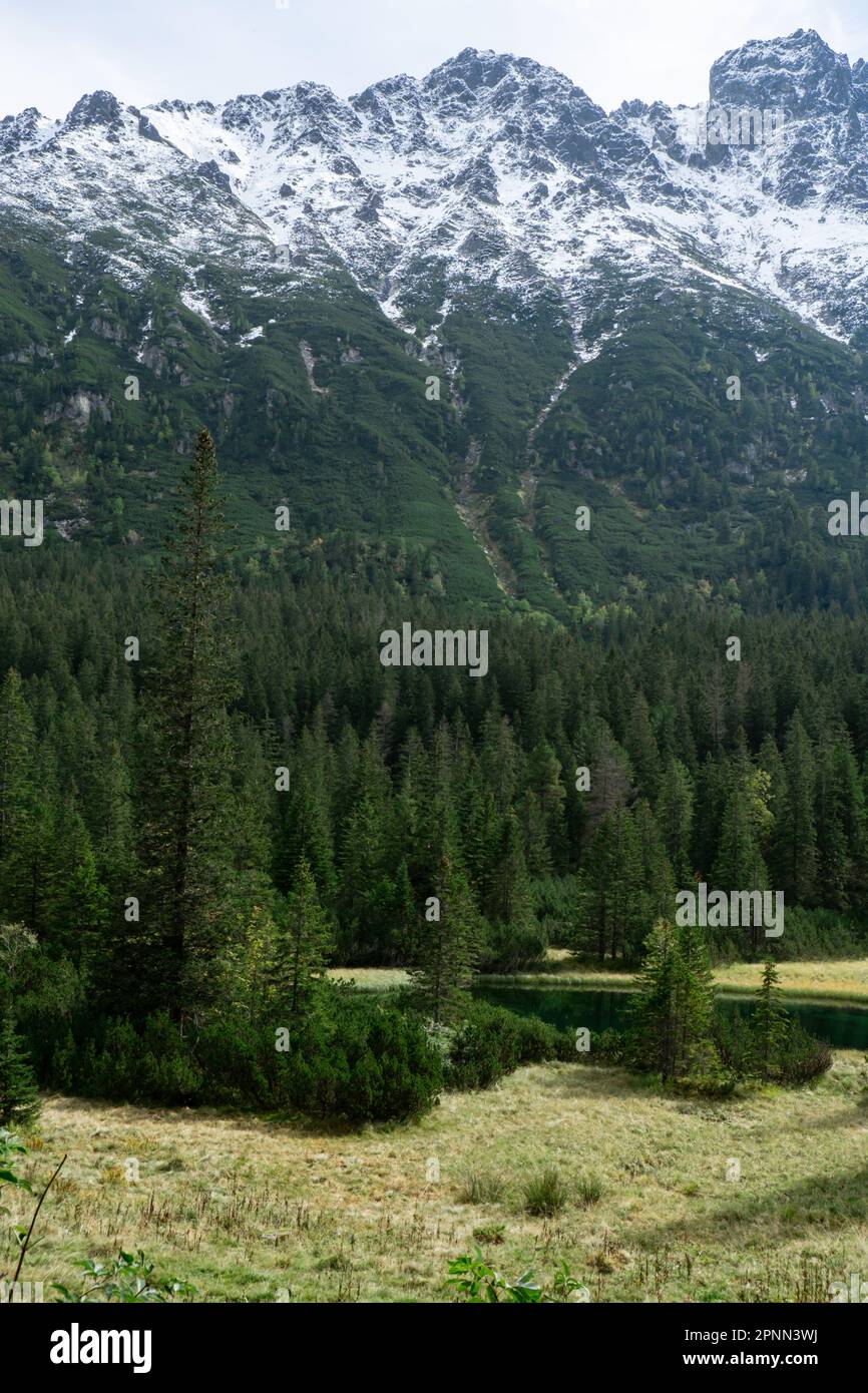 Snowy mountains, green forests In National park Zakopane Poland ...