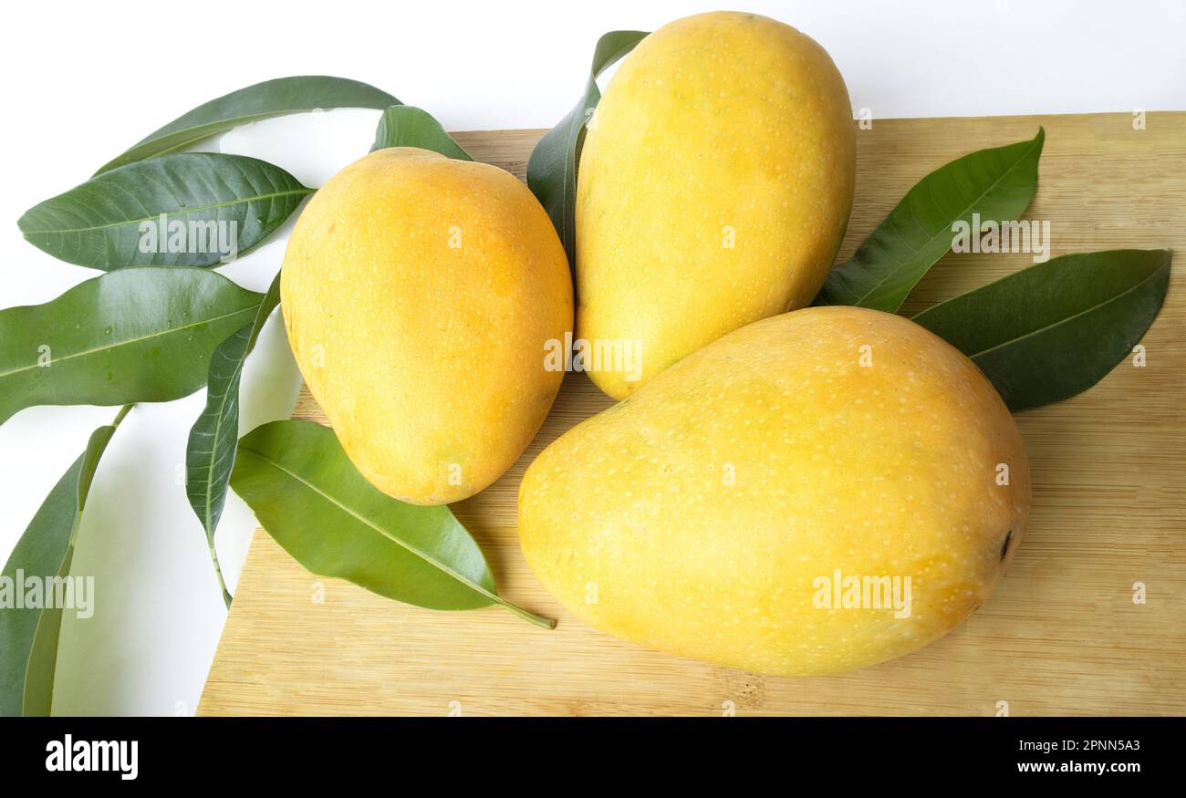 Fresh Yellow ripen Mango with leaf isolated on white Stock Photo - Alamy