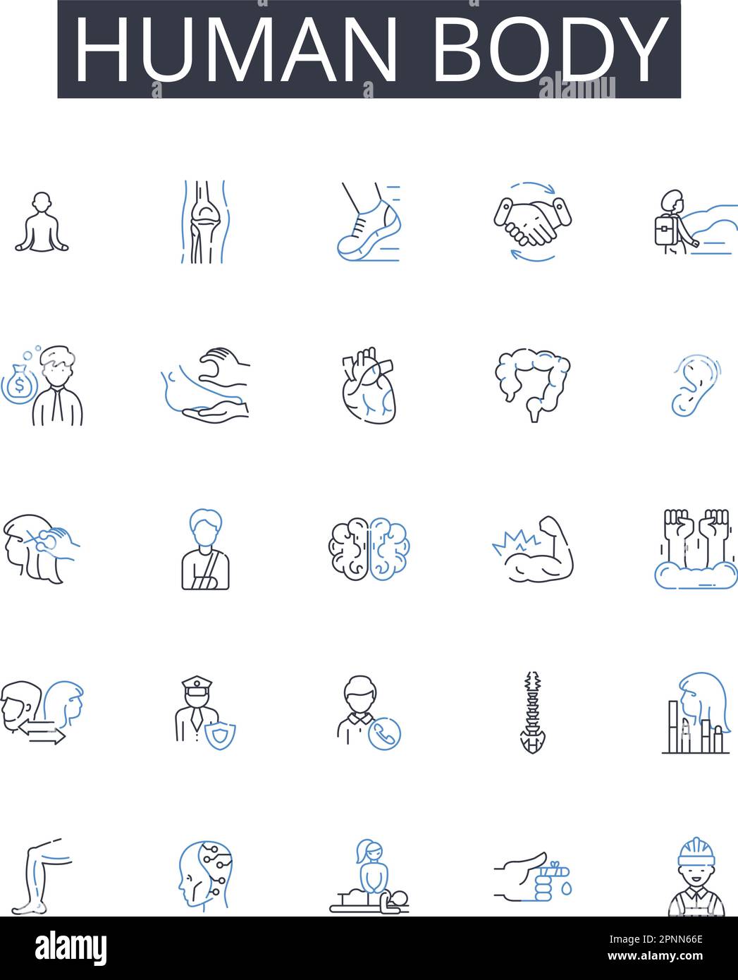 Human body line icons collection. Mental health, Fashion style ...