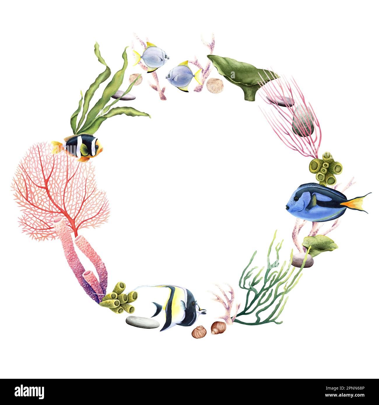 Wreath with sea corals, plants and tropical fish. Hand drawn watercolor ...