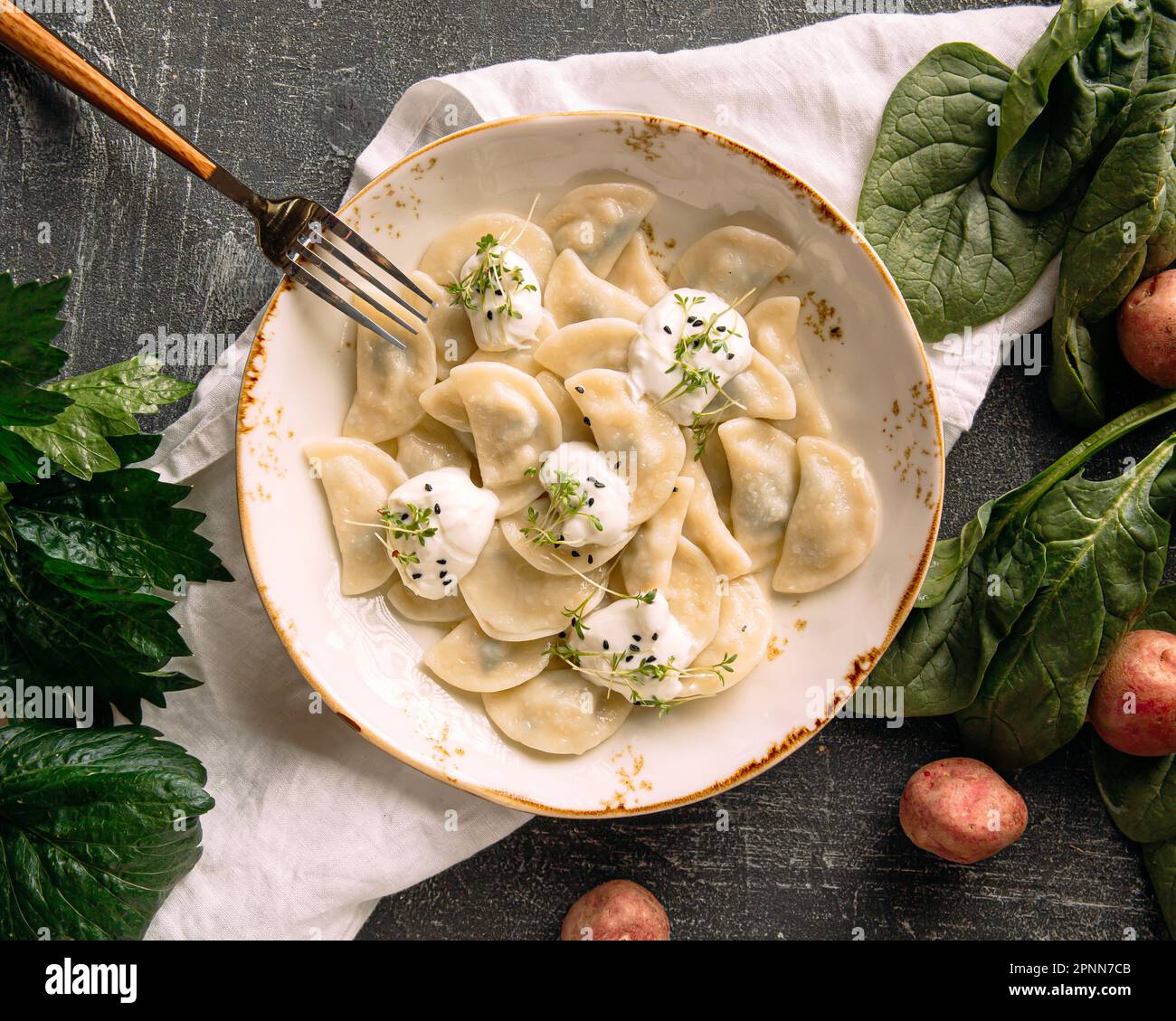 Portion of russian dumplings vareniki Stock Photo - Alamy
