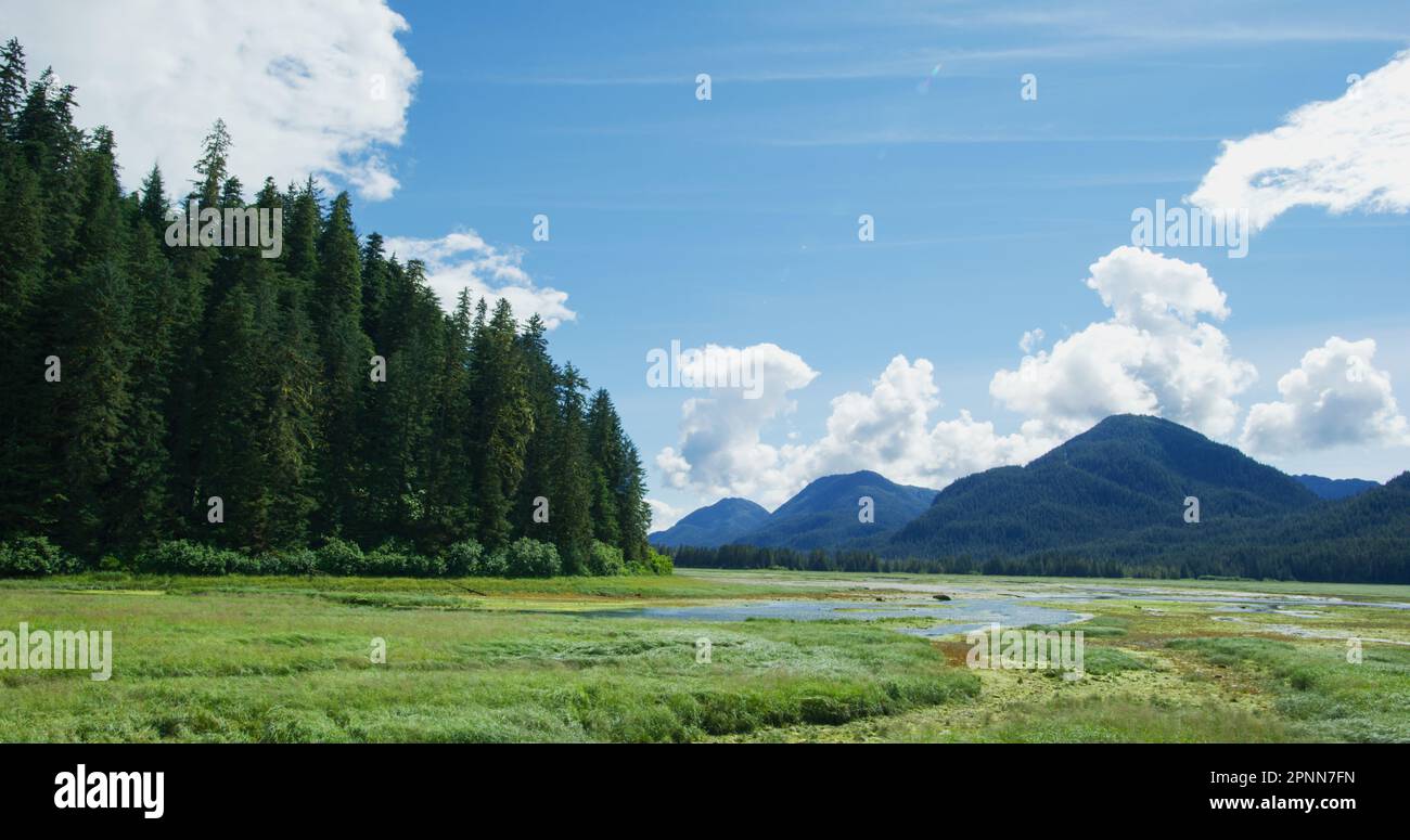 Fly along the meadows, take pictures of mountains, blue skies and white ...