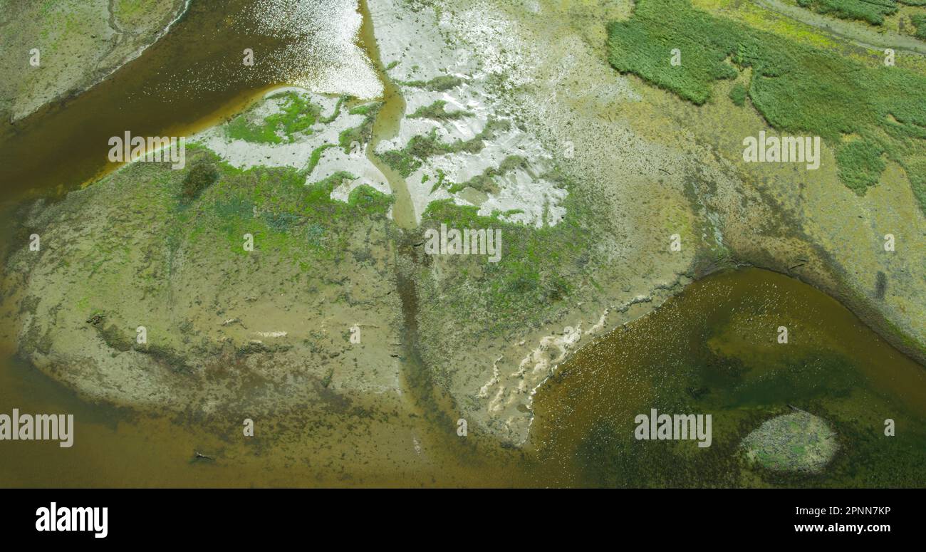 Fly along the ground and photograph rivers, green moss and alluvial ...