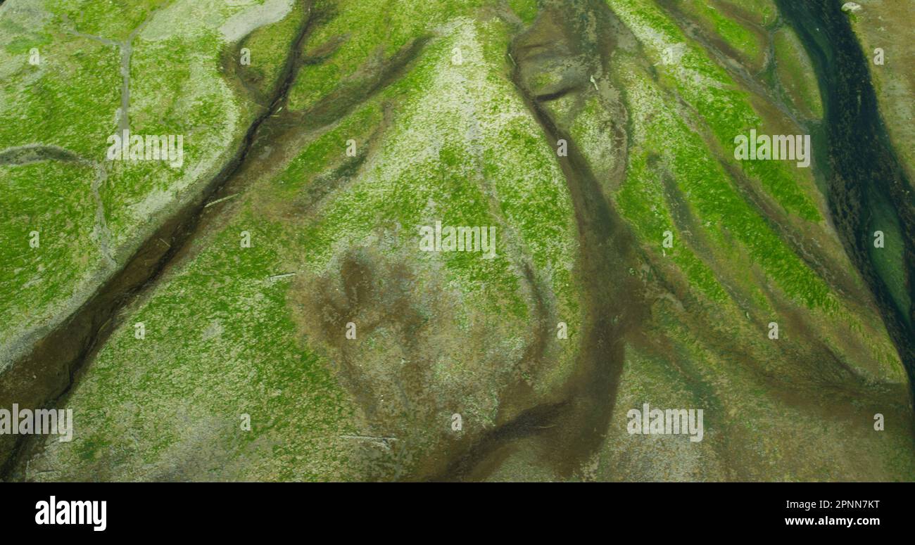 Alluvial grasslands hi-res stock photography and images - Alamy