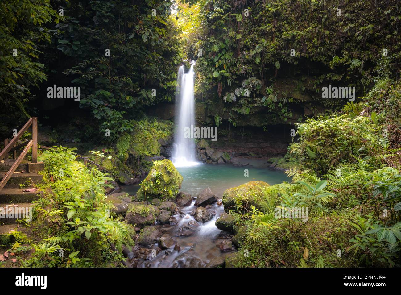 Emerald pool dominica hi-res stock photography and images - Alamy