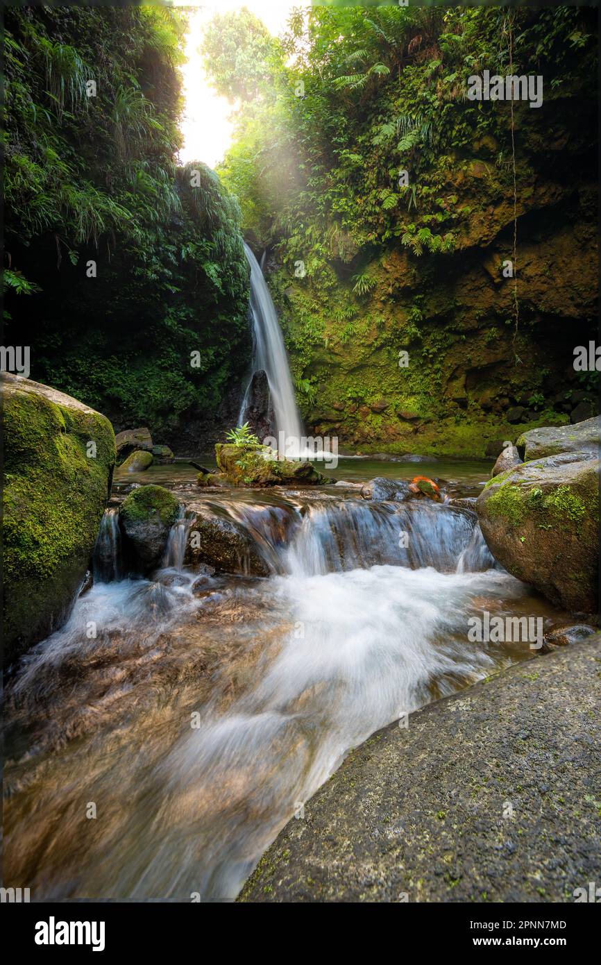 Long Exposure shot of Jacko Falls in Dominica Stock Photo - Alamy