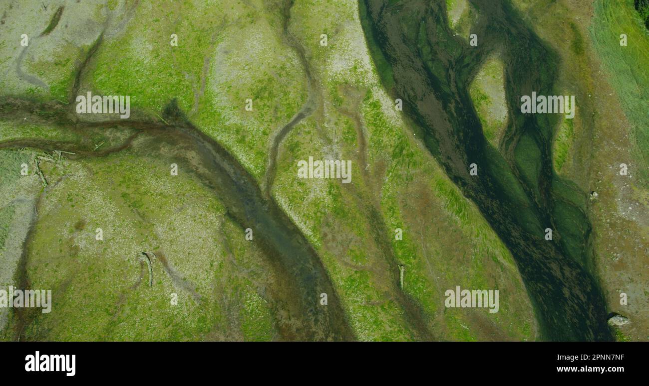 Fly along the ground and photograph rivers, green moss and alluvial ...