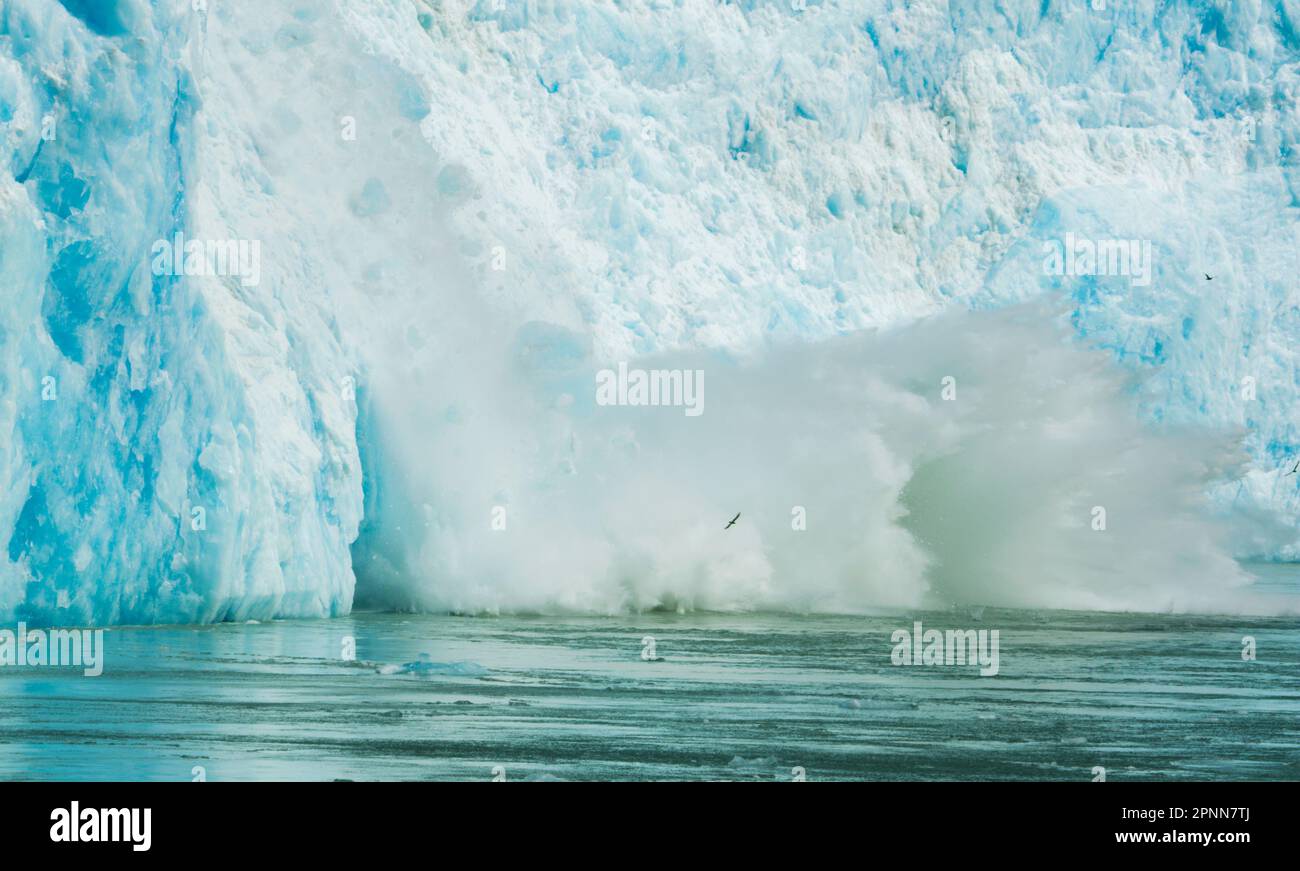 Spectacular glacier calving. Ice cubes fell into the water like an ...