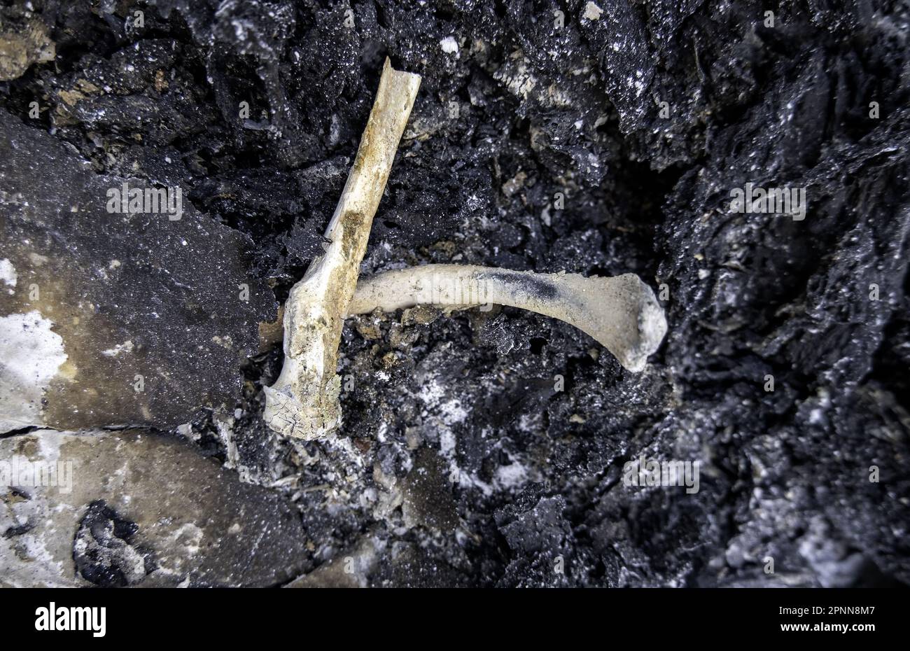 Detail of old crematorium with remains of human bones, cemetery Stock ...