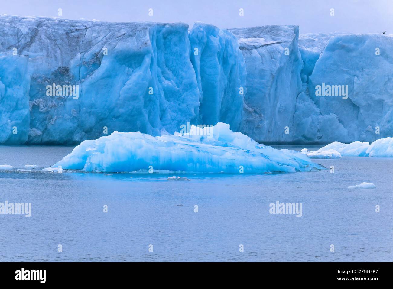 Glacier shelf with ice floes in arctic Stock Photo - Alamy