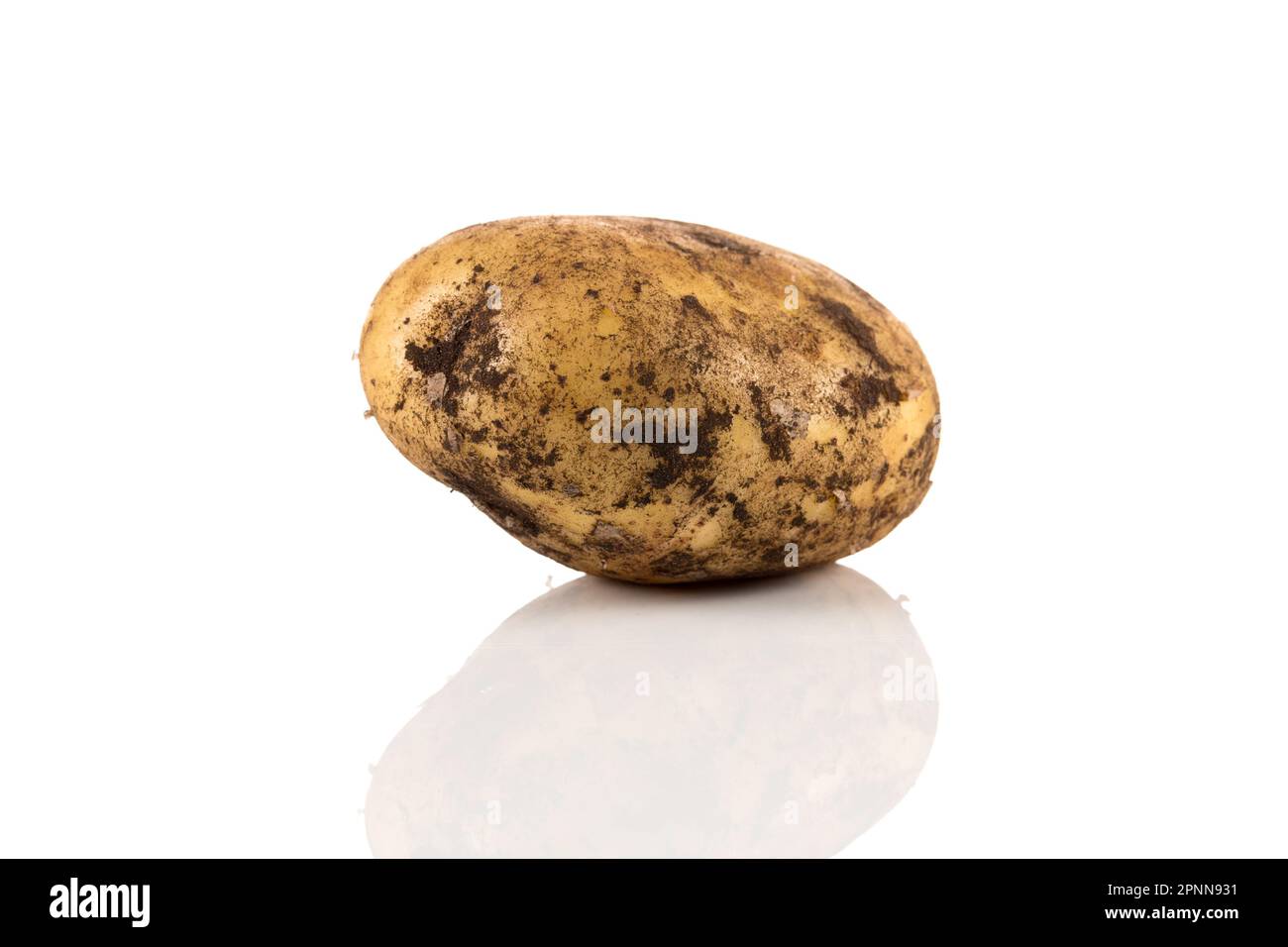 Fresh dirty potato isolated on a white background Stock Photo - Alamy