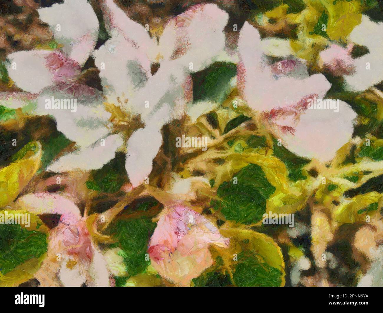 Soft pink spring apple blossom, digital painting effect, photo ...