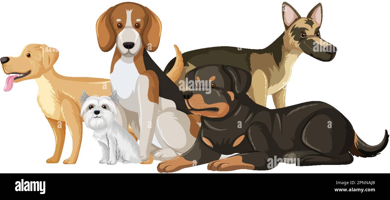 Set of dog dog breeds cartoon illustration Stock Vector Image & Art - Alamy