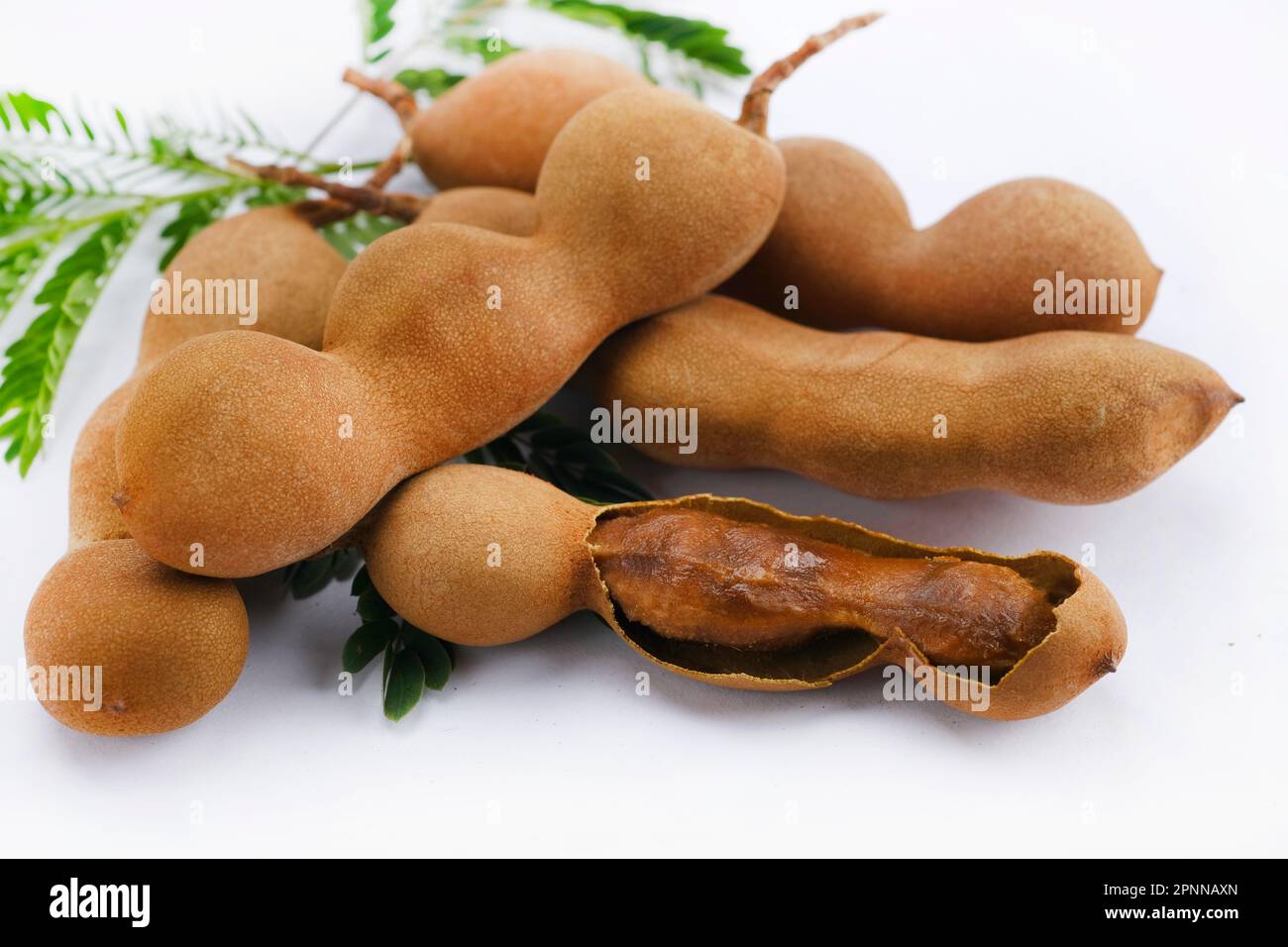 fresh Delicious ripe tamarinds, tamarind with brown pulp with green ...