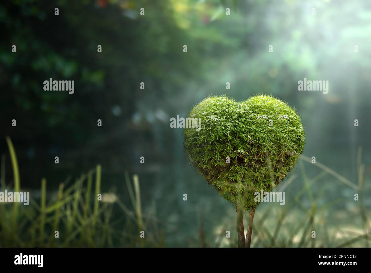 Growing tree on the ground. World environment day concept Stock Photo ...