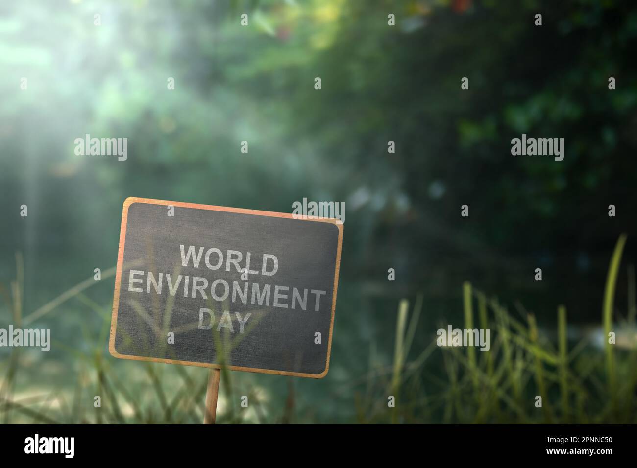 Wooden board with World environment day message on the ground. World ...