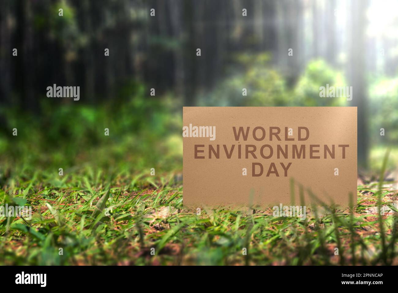 World environment day message on the ground. World environment day ...