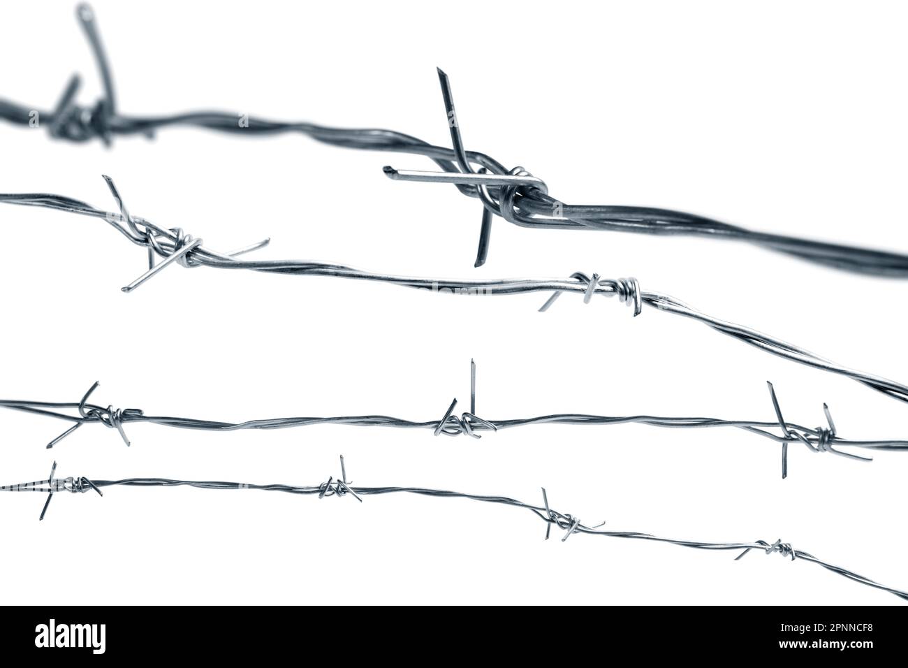 Barbed wire isolated over white background Stock Photo - Alamy
