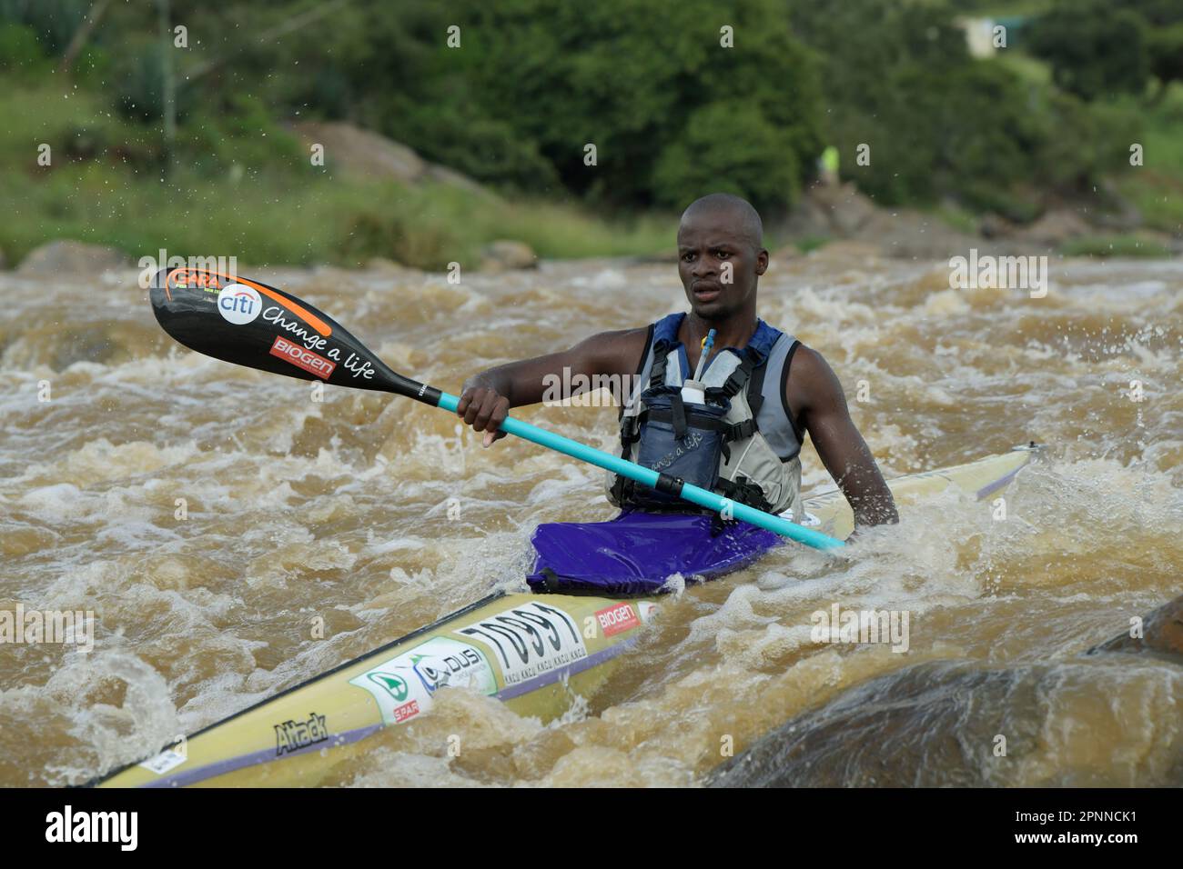 Fit young adult male steering boat at Mission Rapids, Dusi Canoe ...