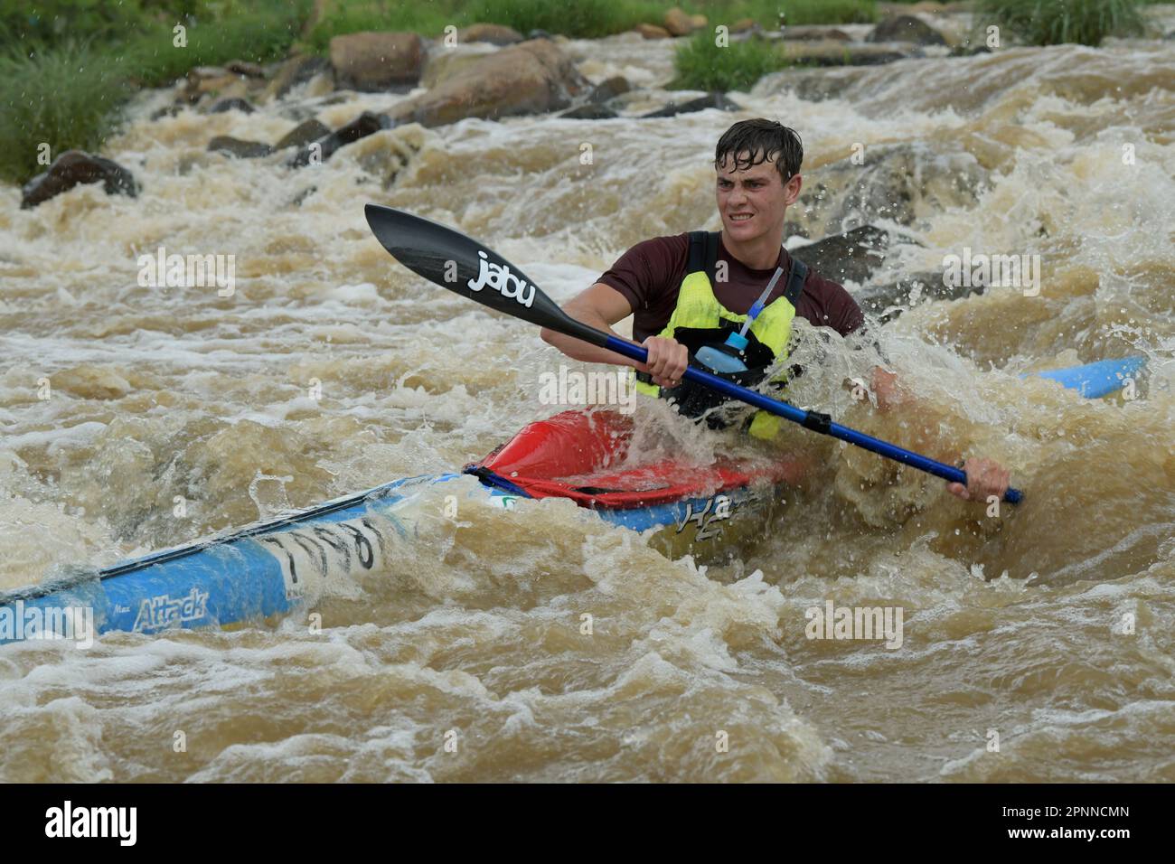 Extreme canoeing event, Dusi Canoe Marathon 2023, fit adult male ...