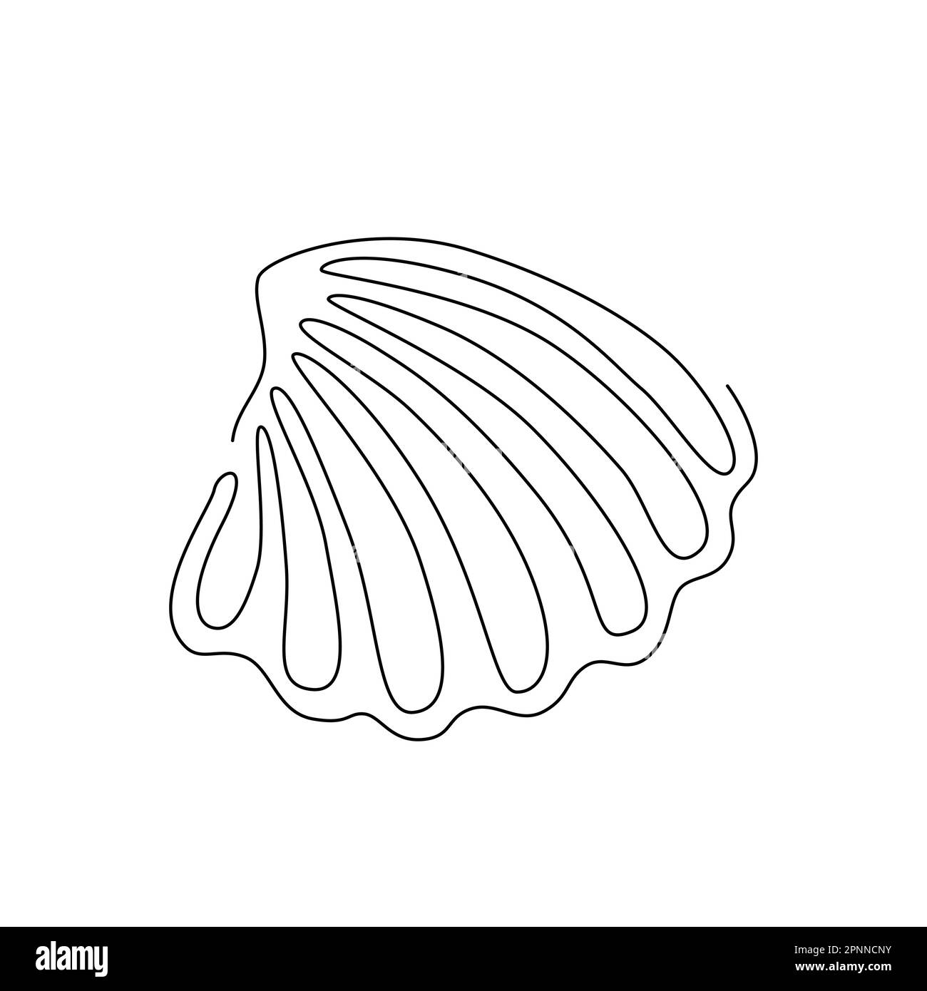 SHELL LINE ART. Vector seashell. Continuous Line Drawing Vector for ...