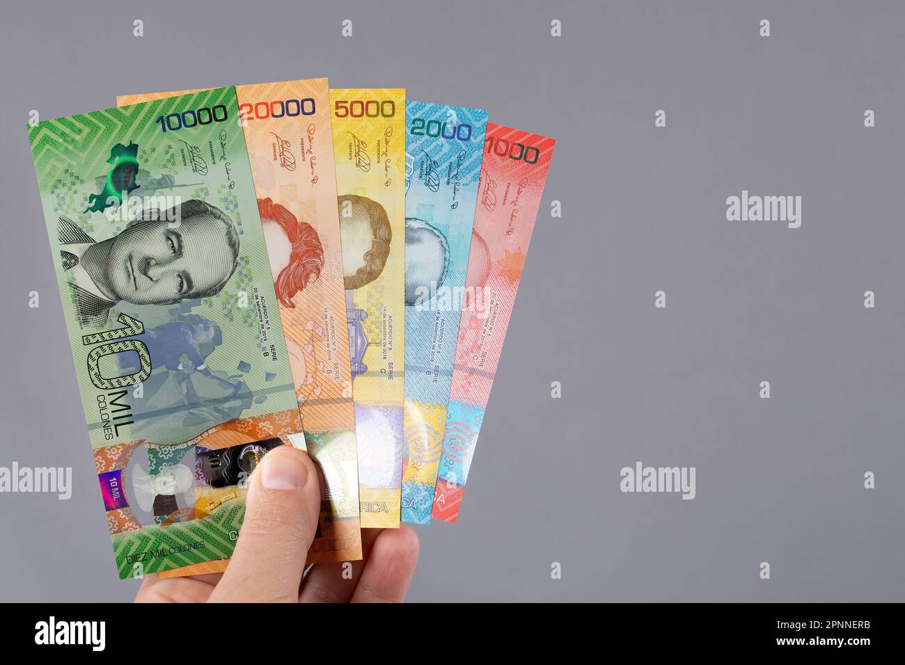 Costa Rican money - Colones in the hand on a gray background Stock ...