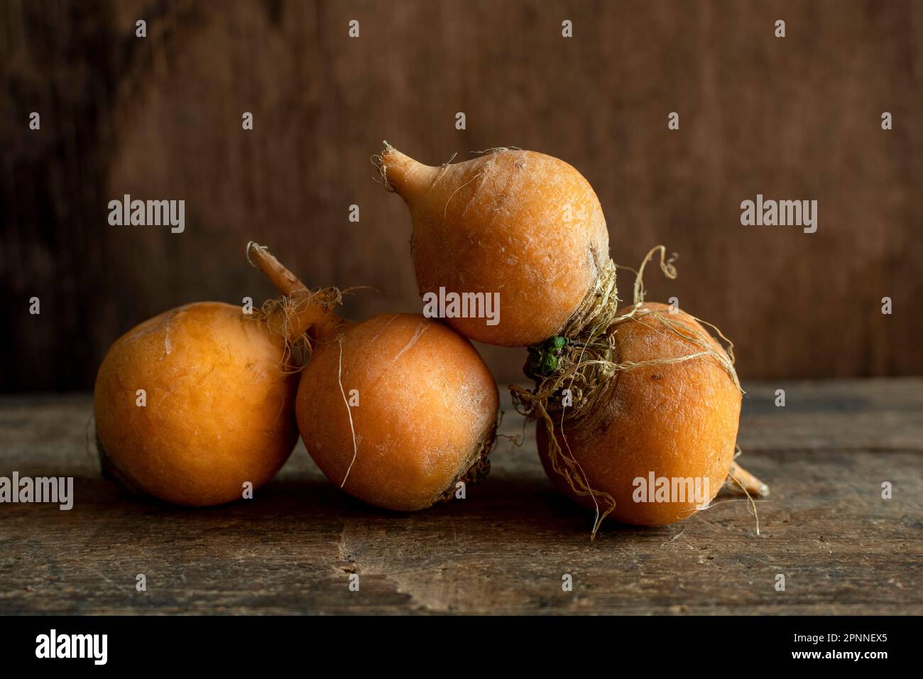 Golden ball turnip on a brown background Stock Photo - Alamy