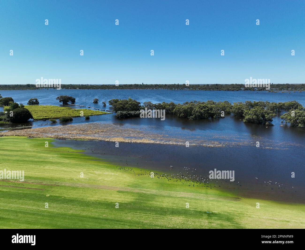 Mildura Murray river flood in 2022 Stock Photo - Alamy