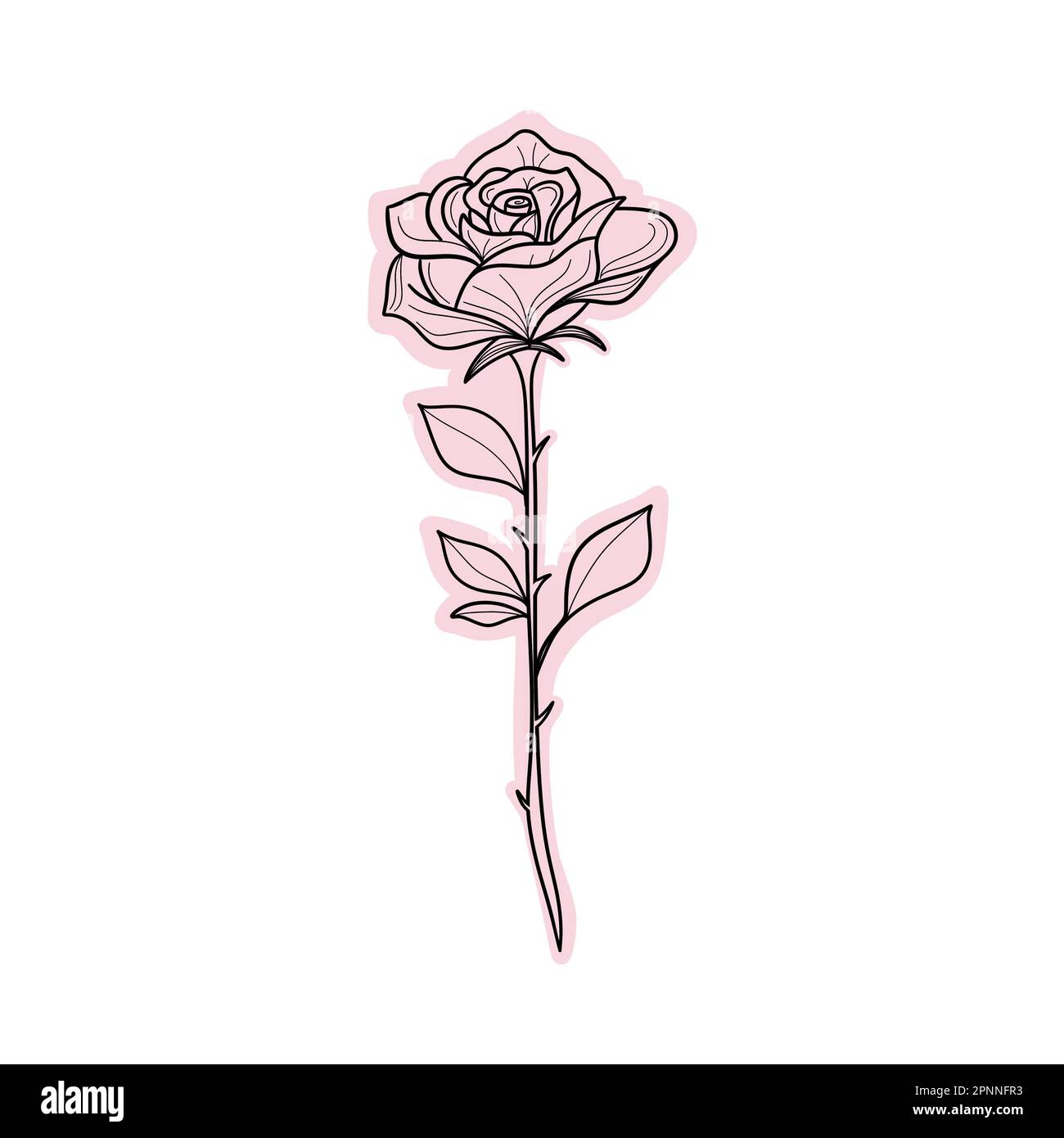 Pink rose flower icon. It is a versatile illustration designed for ...