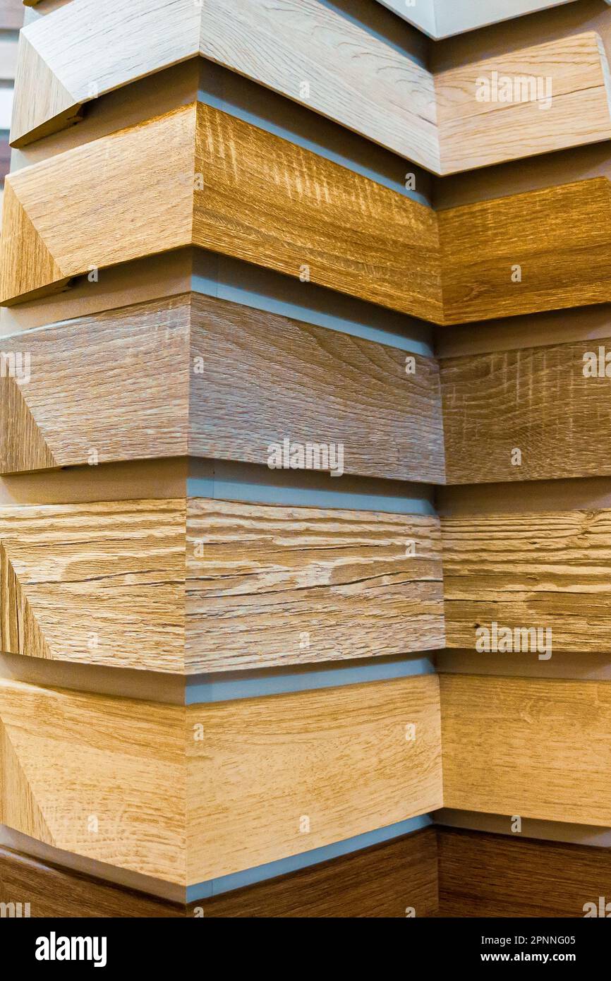 Ceiling plinths decorated under structure of a tree Stock Photo - Alamy