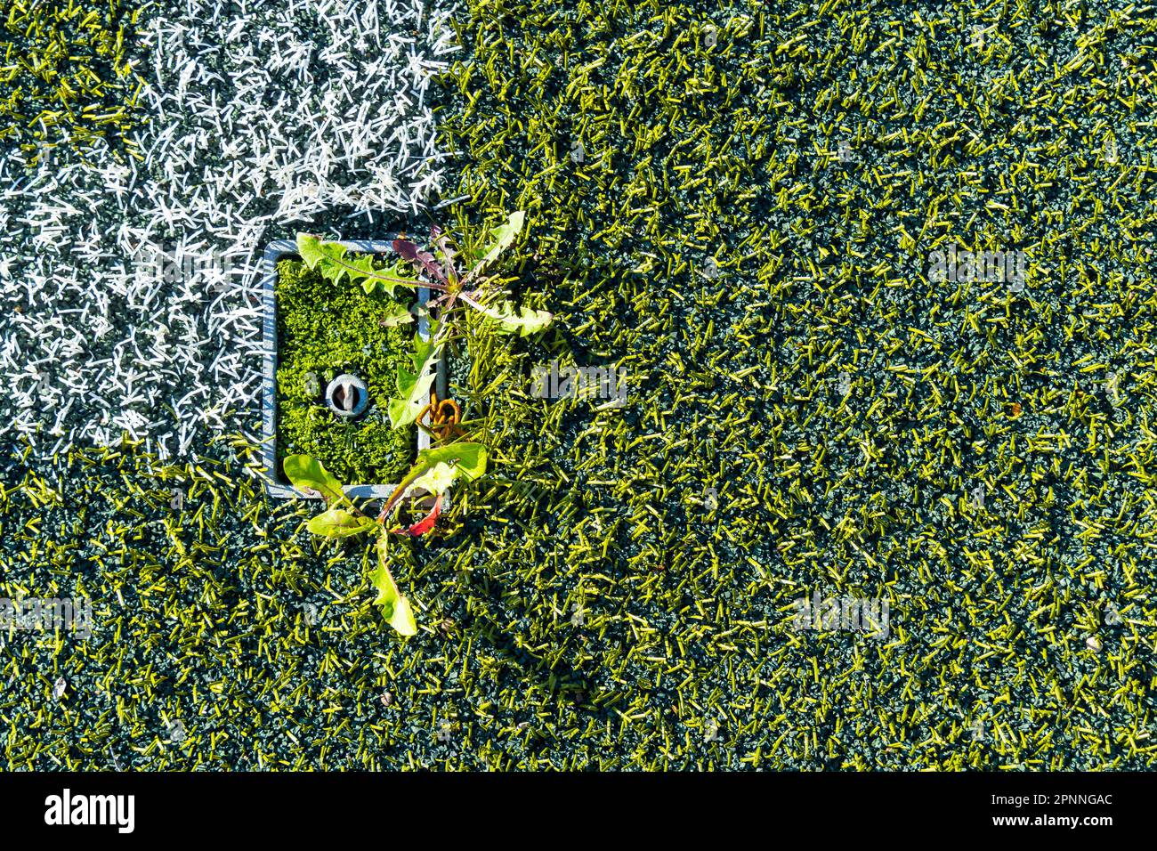 Football field, artificial turf pitch with microplastic particles ...