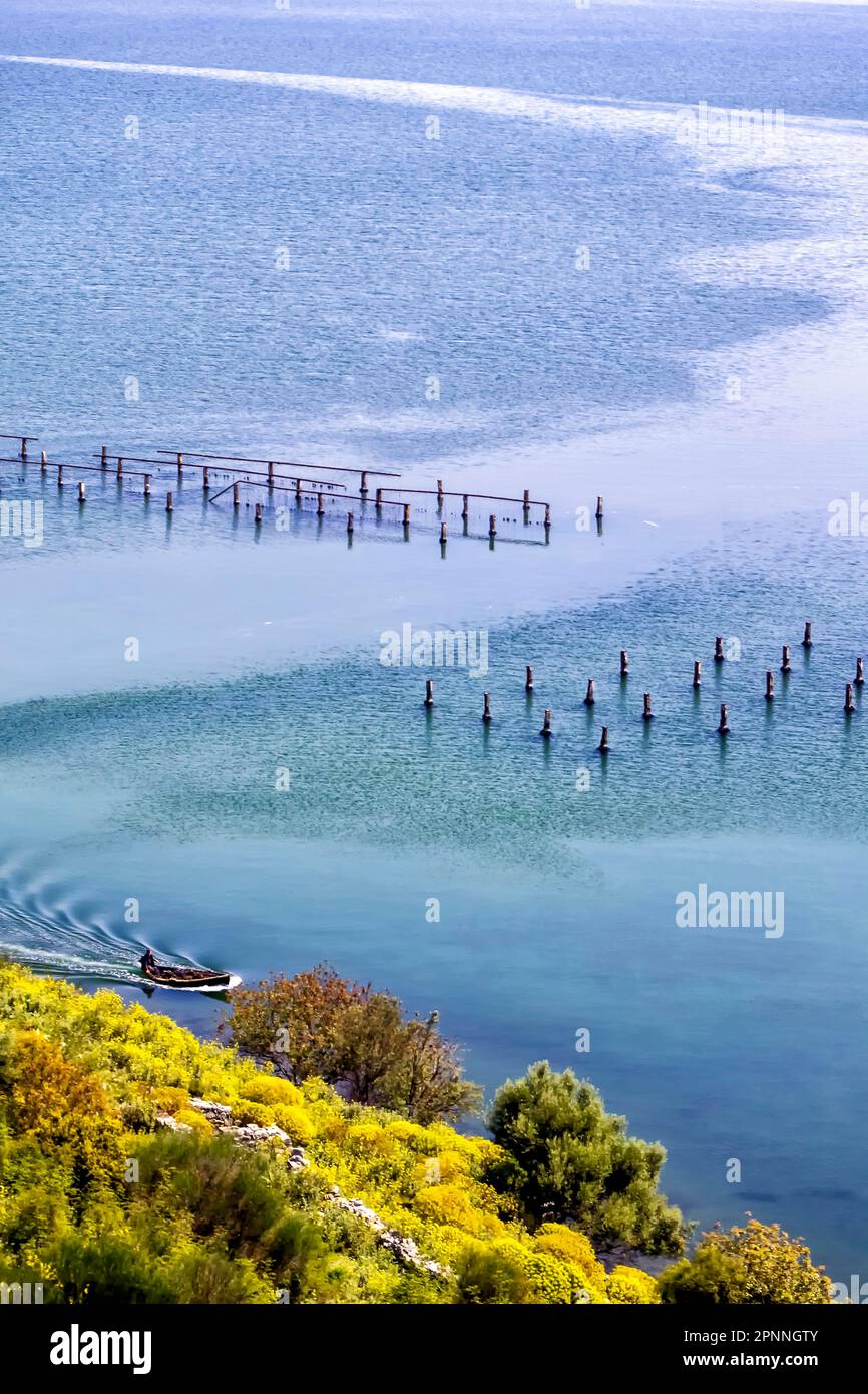 Lake Butrint, saltwater lagoon on the coast of the Ionian Sea, breeding ...