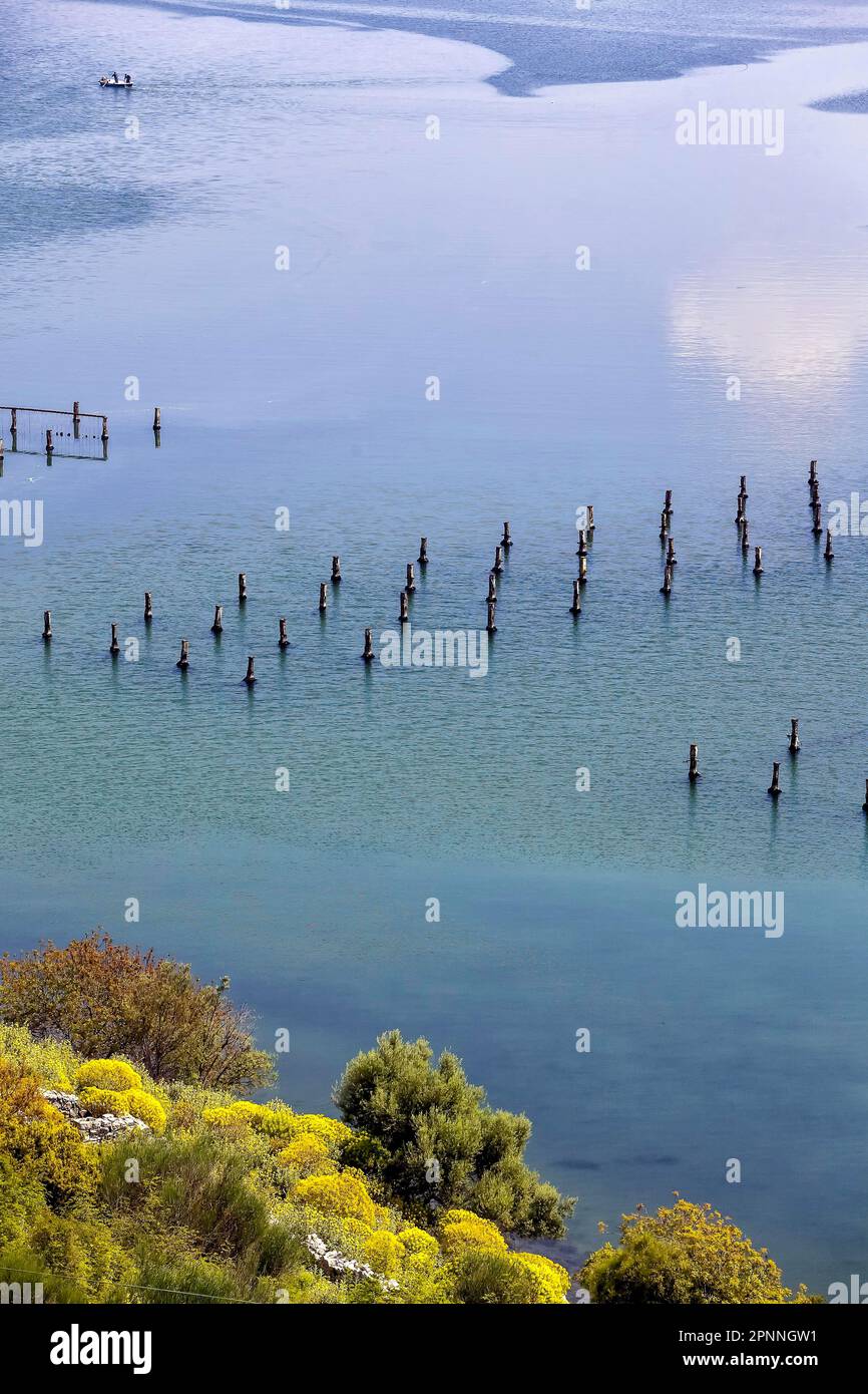 Lake Butrint, saltwater lagoon on the coast of the Ionian Sea, breeding ...