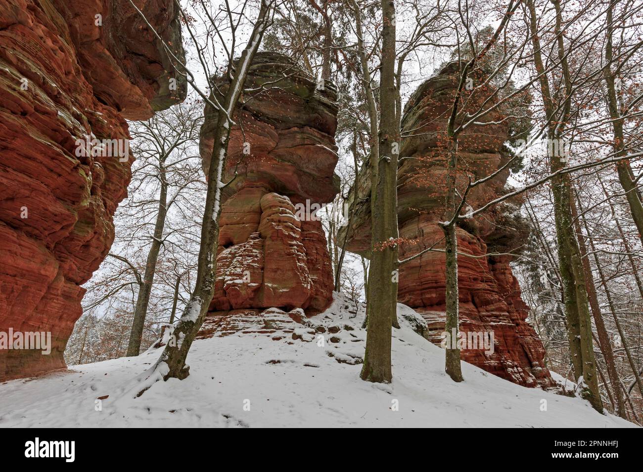 Natural monument, Altschlossfelsen, Eppenbrunn, Rhineland-Palatinate ...