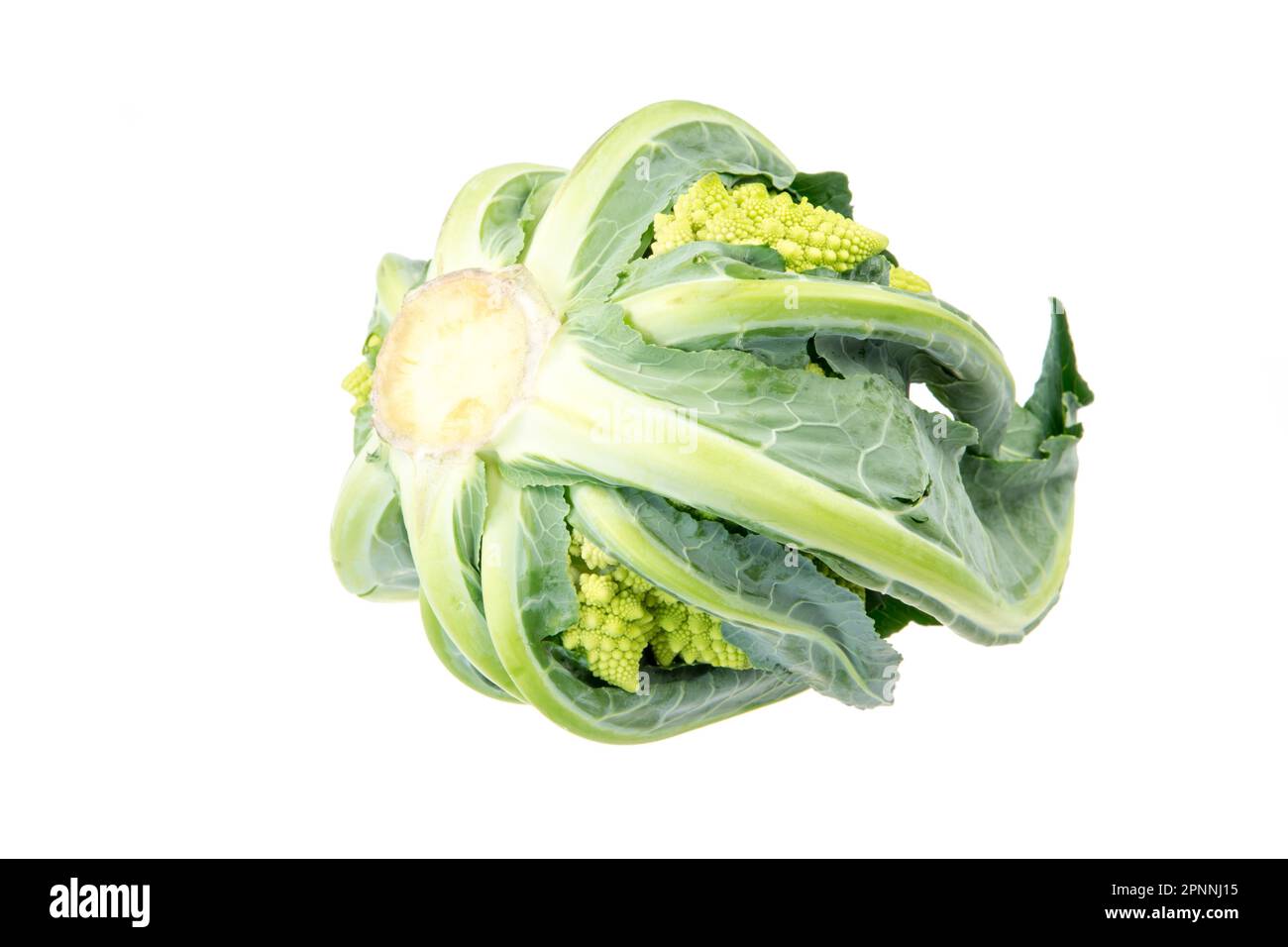 Closeup of a healthy romanesco broccoli vegetable Stock Photo - Alamy