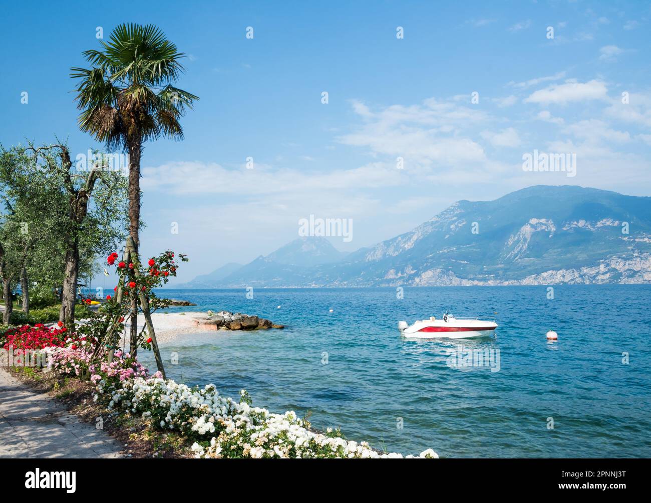 Flowers at the water front of Lake Garda Italy Stock Photo - Alamy