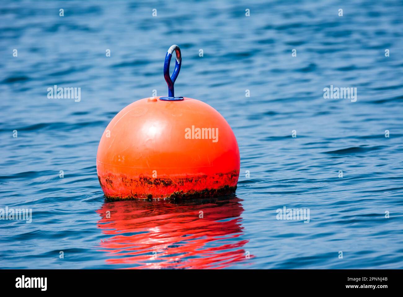 Orange buoy floating in blue water Stock Photo - Alamy