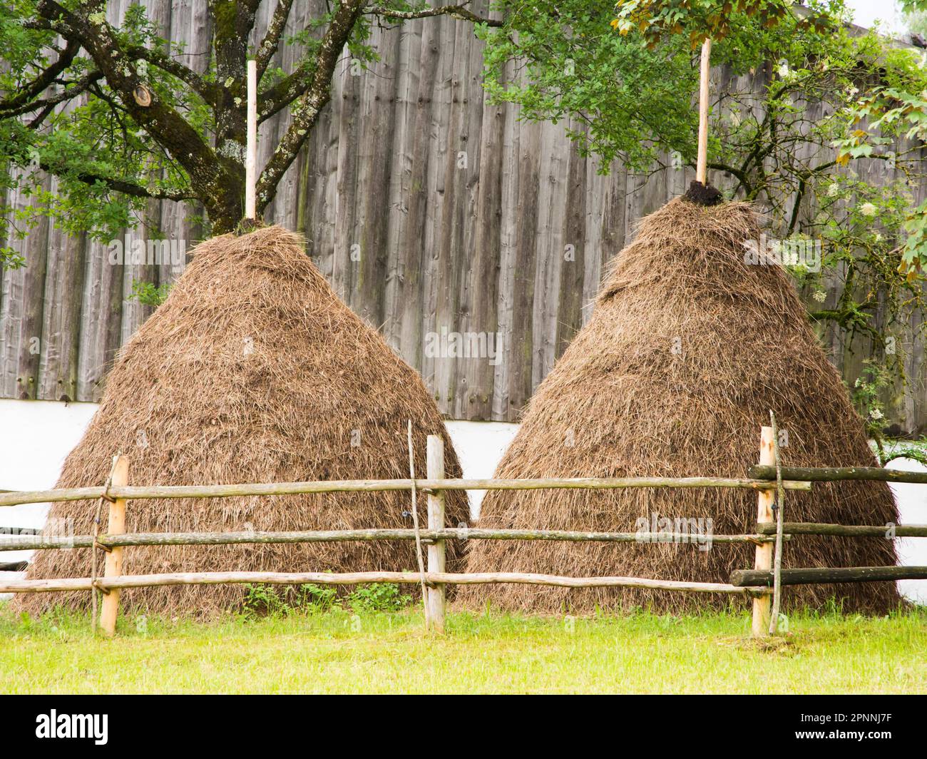 Traditional haystacks at an old farm hose Stock Photo - Alamy