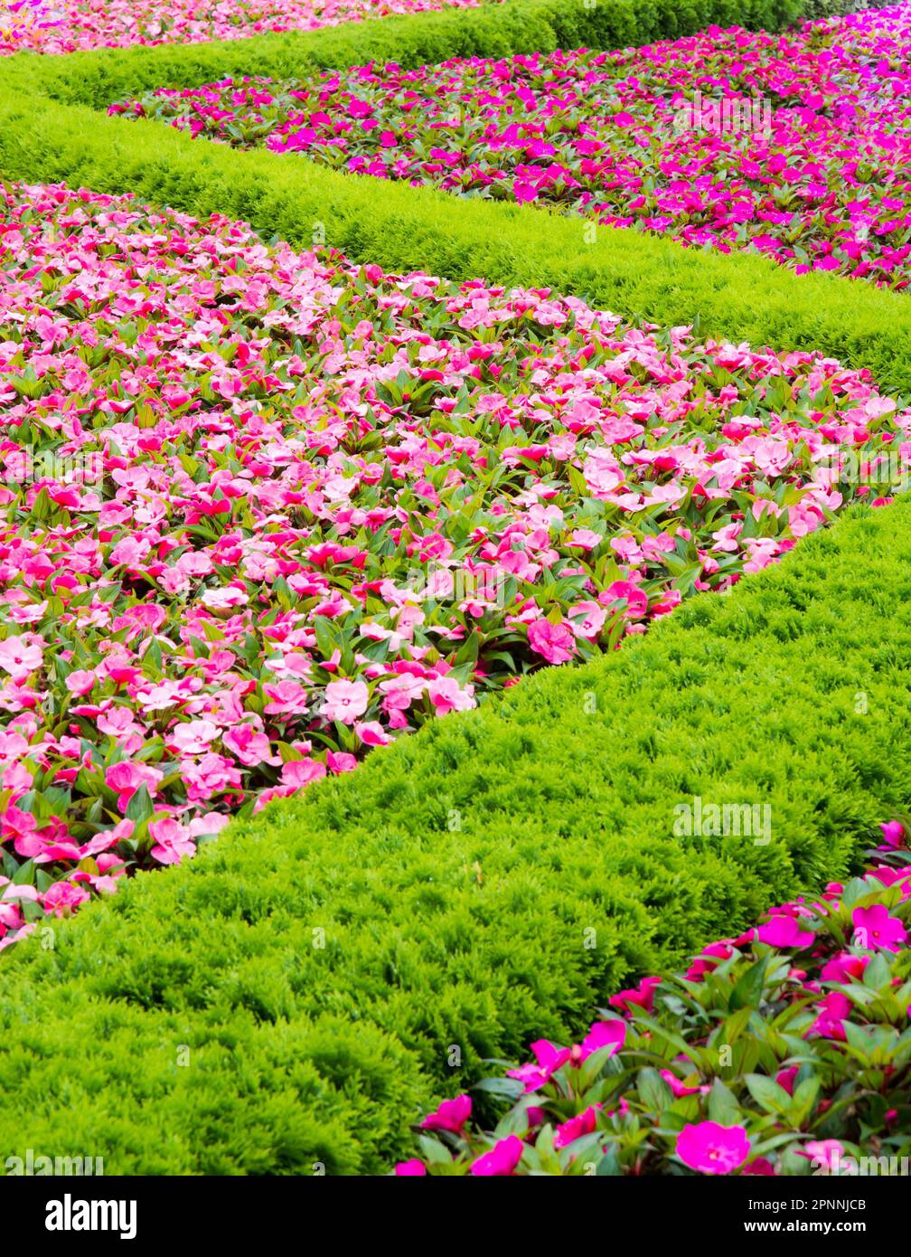 Sinuous structure hi-res stock photography and images - Alamy