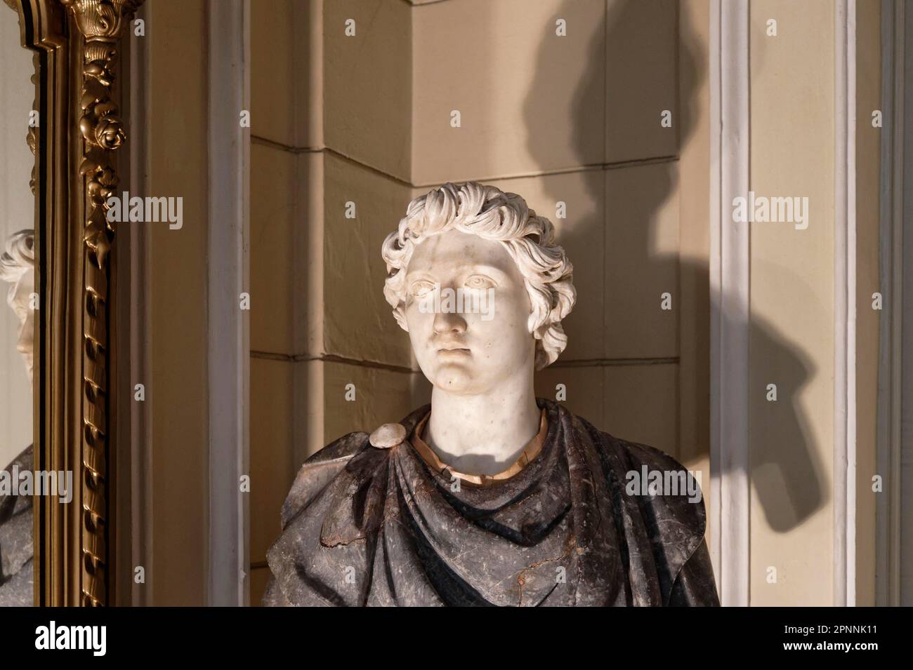 Zanelle hi-res stock photography and images - Alamy