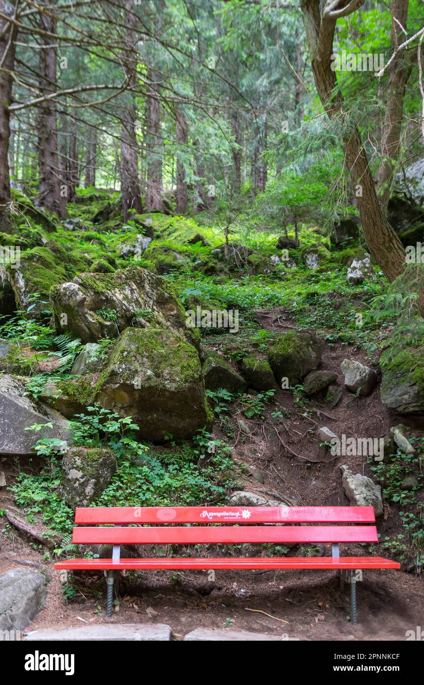 Red bench in a forest, Seealpsee, Wasserauen, Canton Appenzell ...