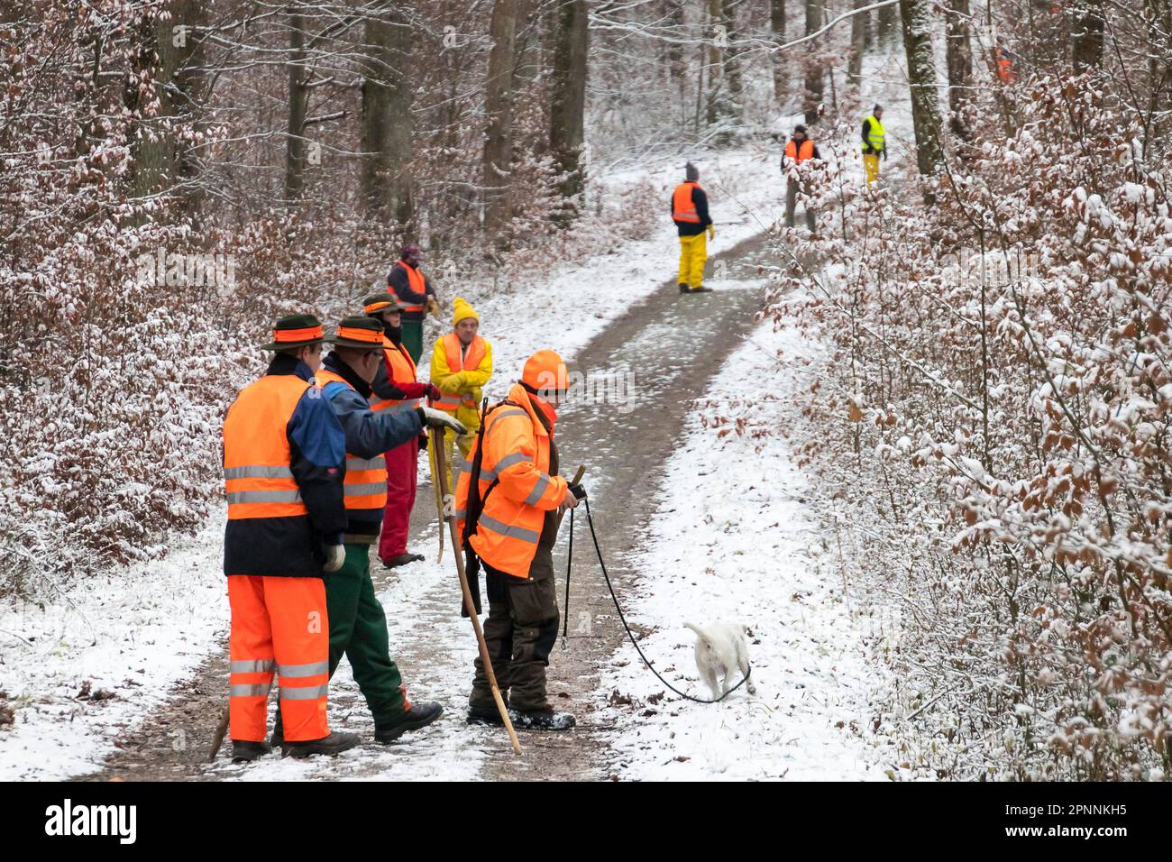 Driven hunt hi-res stock photography and images - Alamy