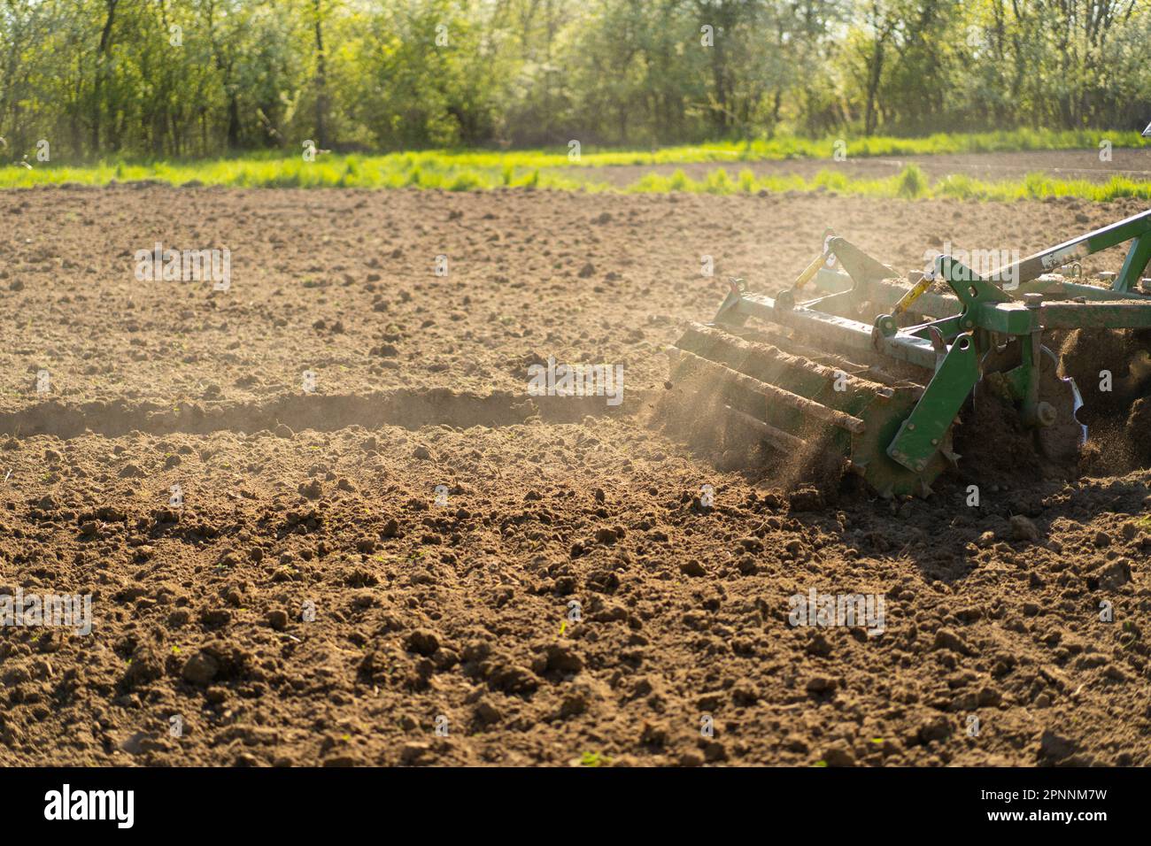 The tractor drives across the field and cultivates the land Stock Photo ...