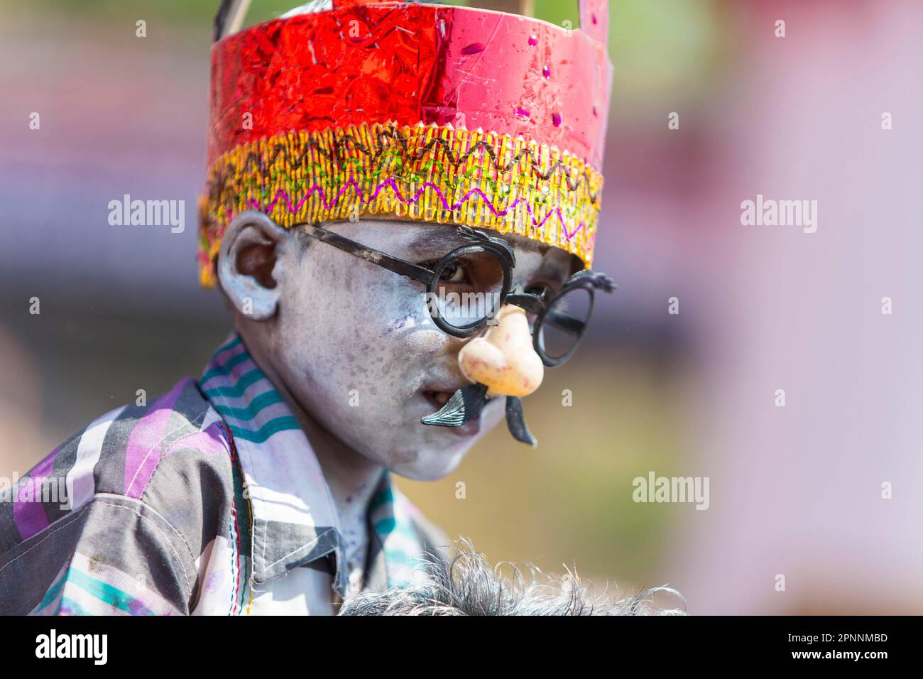 Holi Festival, Indian spring festival, traditional festival of colours ...