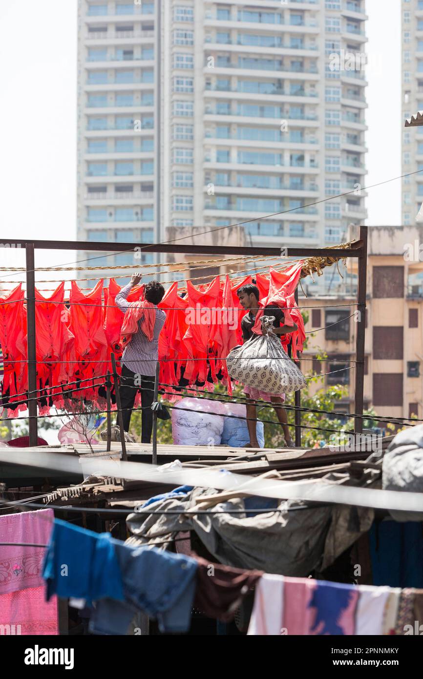Dhobi Ghat, washing district Open Laundry in Mahalaxmi, sight ...