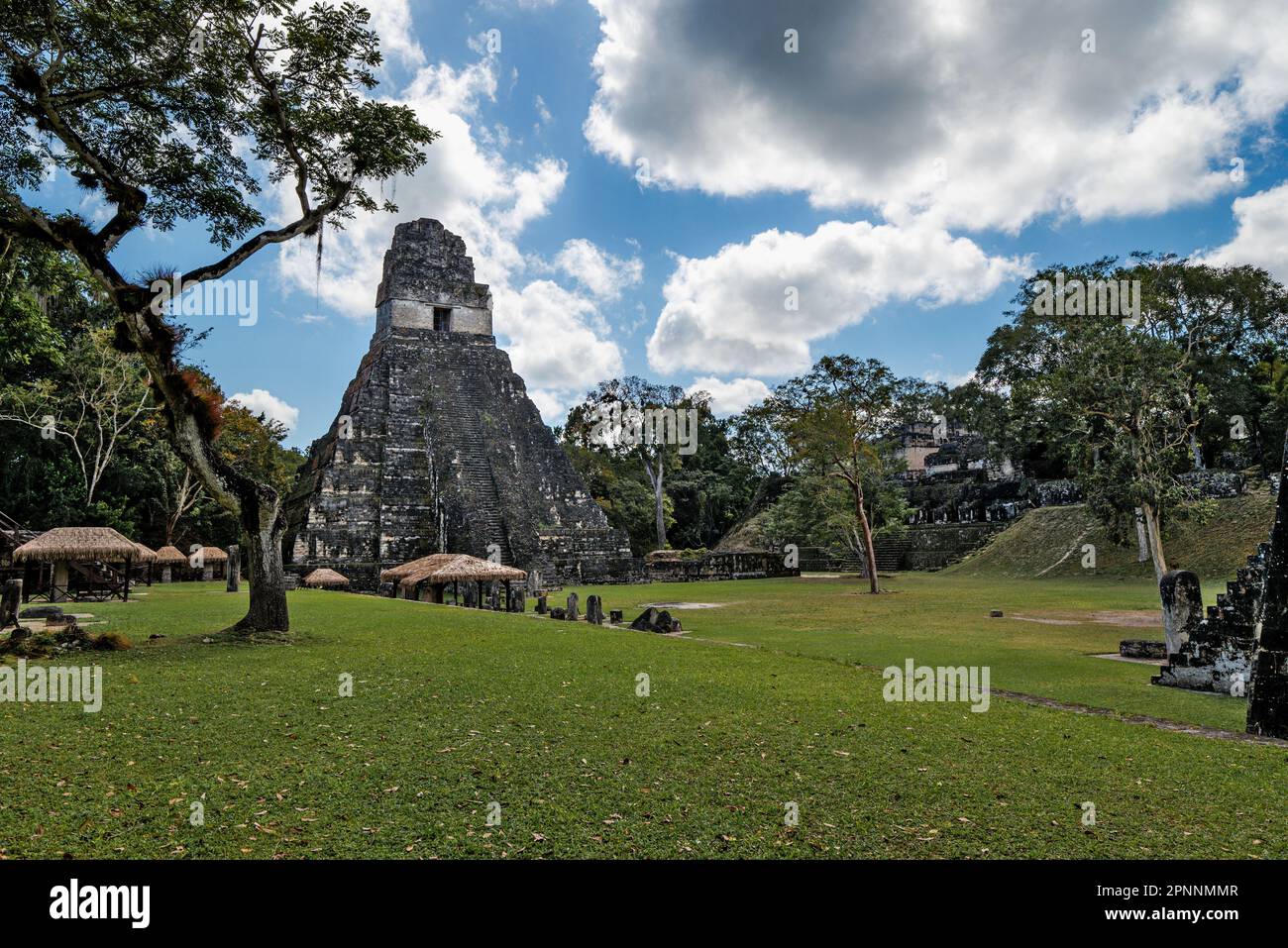 The Maya ruins in the lush green tropical jungle in Tikal Flores ...