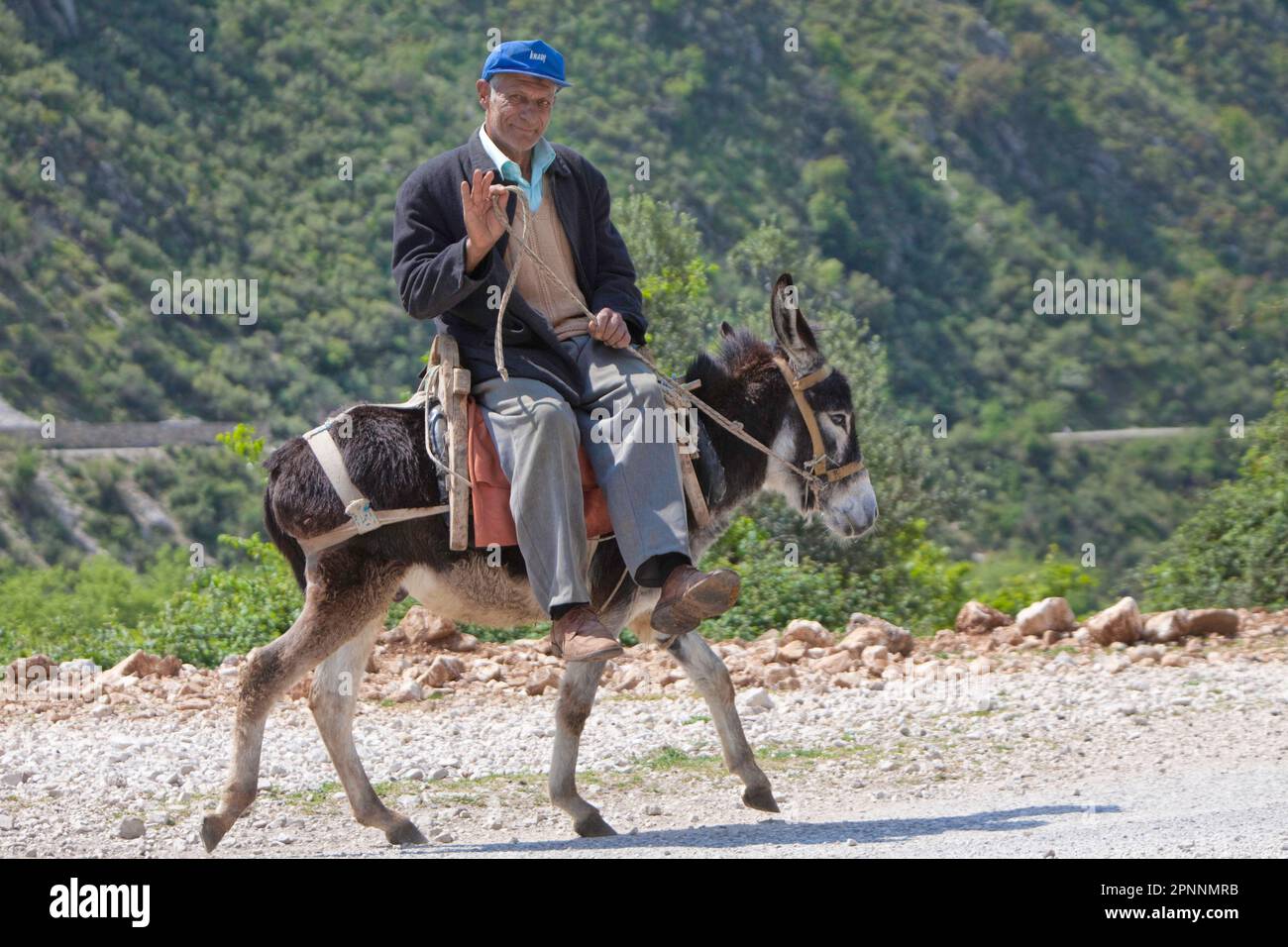 A man riding a donkey, means of transport in the landscape, Dragot ...